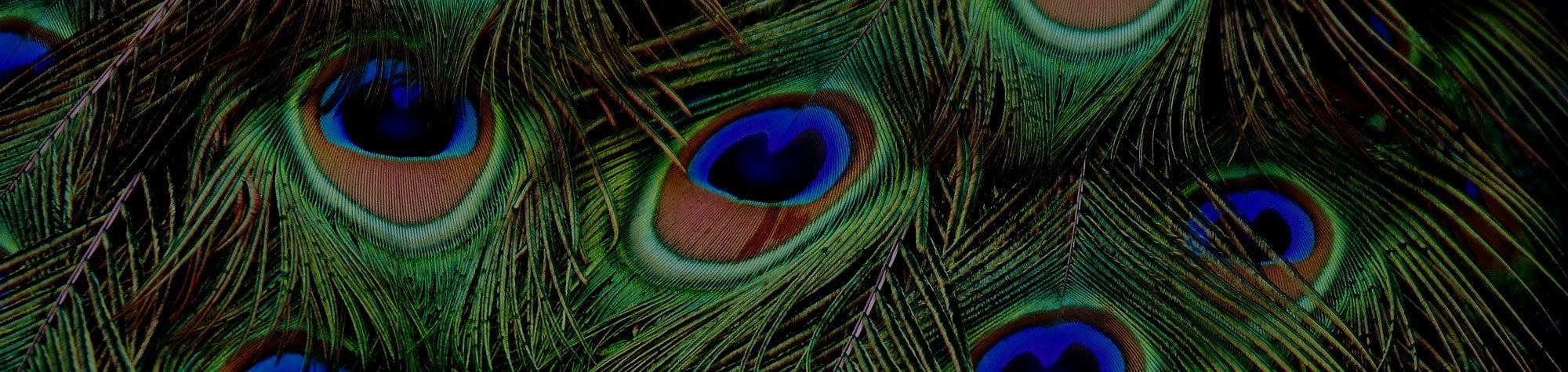 Break a Leg! The Stories Behind Superstitions of Those Filling Theater ...