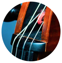 The Anatomy of A Violin - Learn the History & Framework