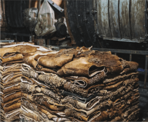 Vegan Leather: Redefining Sustainable Luxury
