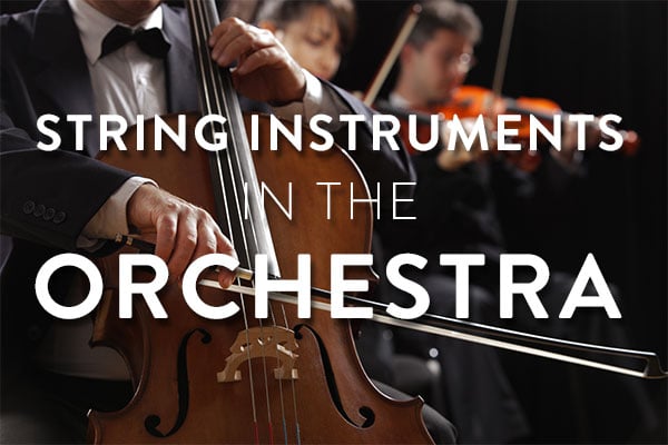 String Instruments in the Orchestra: What You See From Your Theater ...