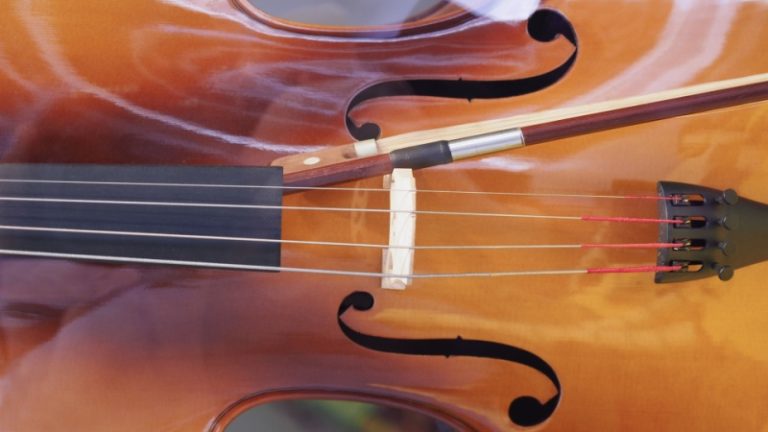 String Instruments in the Orchestra: What You See From Your Theater ...