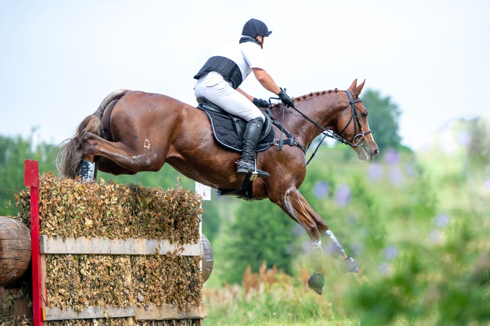 Beginner's Glossary of Horse-Riding Terms: What to Know Before You Take ...